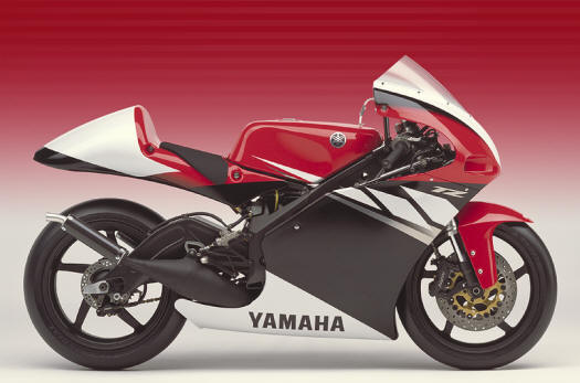 YAMAHA TZ250 RACE BODYWORK